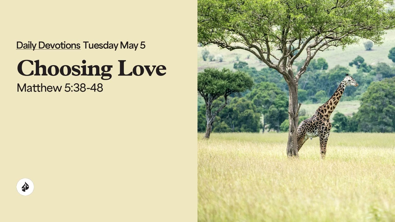 Choosing Love   – Daily Devotional