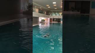 HUGE Indoor Swimming pool at Grand Millennium Hotel Beijing