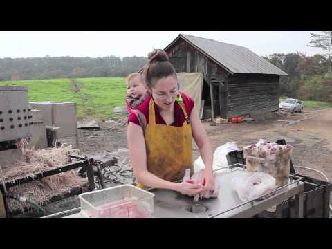On-Farm Chicken Processing: Eviscerating
