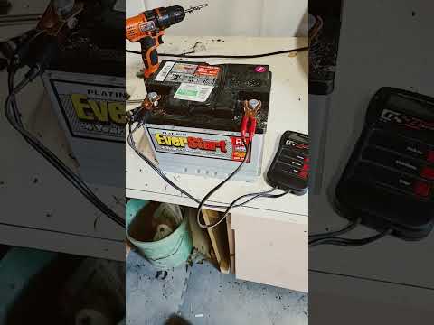 Are Walmart AGM Batteries Any Good?