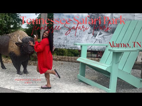 VLOG: Tennessee Safari Park | Alamo, TN