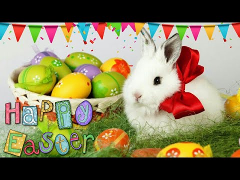 Happy Easter Wishes/Greetings/Images/SMS/Quotes & Sayings | Easter Special WhatsApp Status Video|