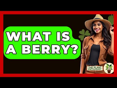 What Is A Berry? - The Plant Enthusiast
