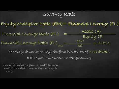 Solvency Ratio – Equity Multiplier Ratio