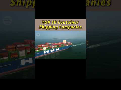 【TOP10】World Largest Container Shipping Company NO.8 HMM #shipping #cargo #freight #freightforwarder