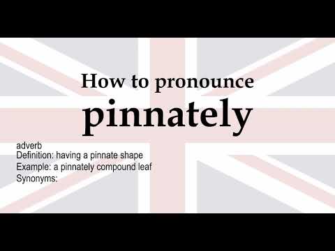How to pronounce 'pinnately' + meaning