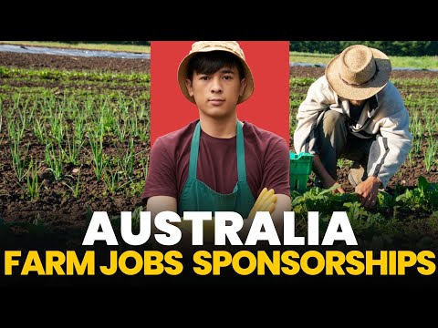 Australia Farm Work Jobs with Visa Sponsorship in 2025