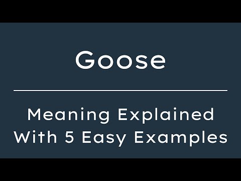 What Does Goose Mean? Goose Meaning in English With 5 Example Sentences