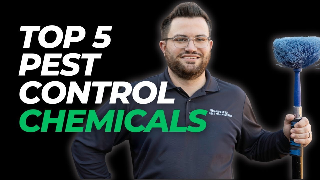5 Best Chemicals For Your Pest Control Business