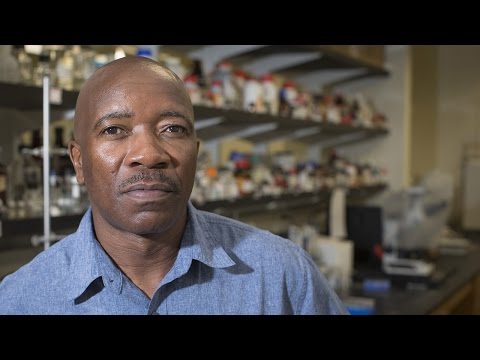 Small particles, big impact? Exploring how nanomaterials decompose