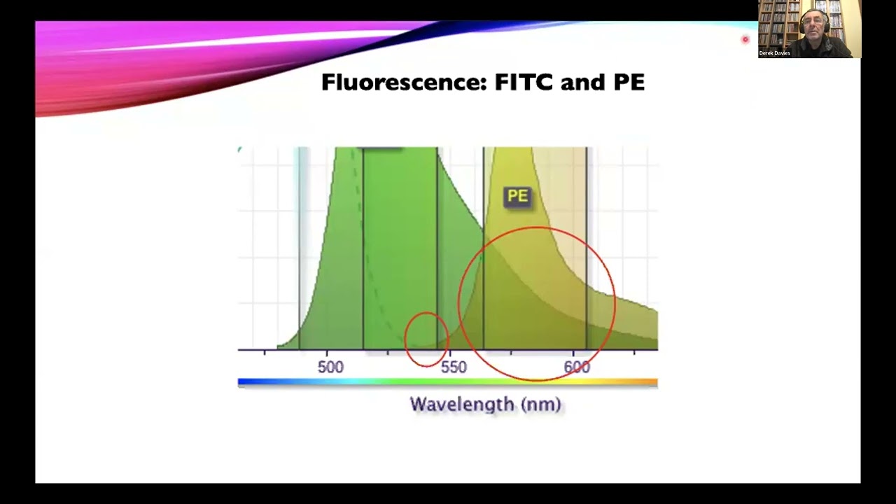 OpenFlow: Multicolor Flow With Compensation Using a CytoFLEX LX