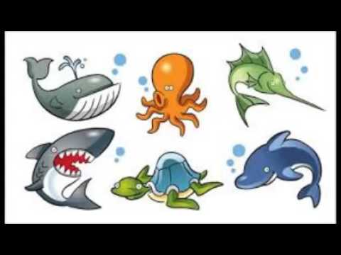 Free Cartoon Images