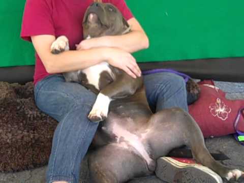 Alice A4512372