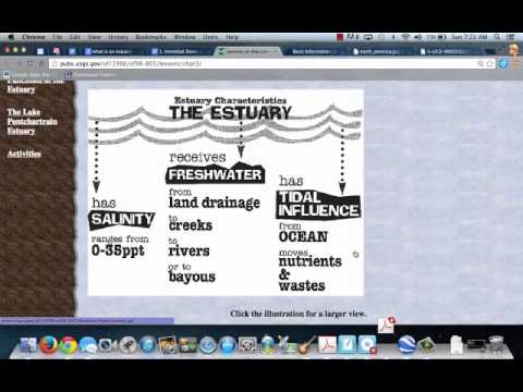 Salt Marsh Objectives 9