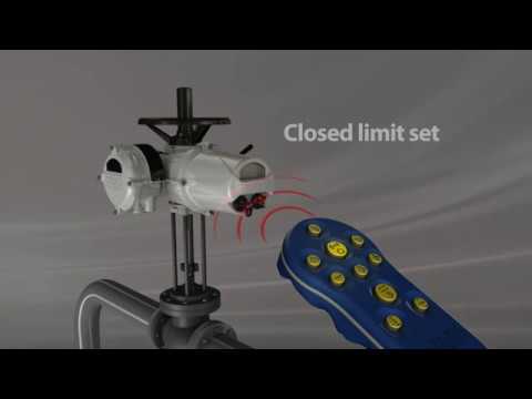 IQ3 Bluetooth Setting Tool