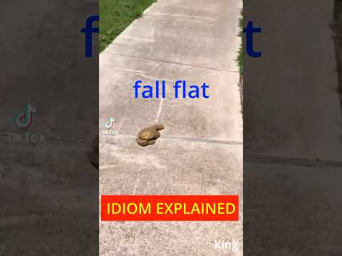 Fall Flat #idiom EXPLAINED