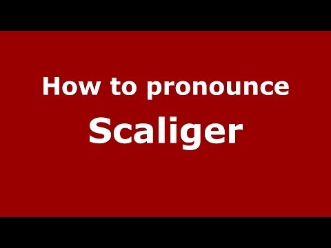 How to pronounce Scaliger (Italian/Italy) - PronounceNames.com