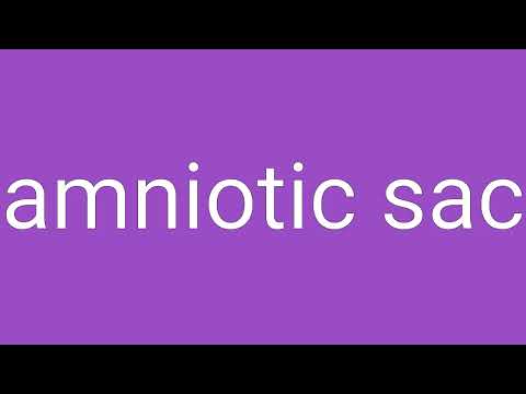Amniotic Sac Definition & Meaning