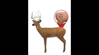 Big Shot Pro Hunter Double Duty Buck Target | Pyramyd AIR