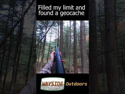 Gotta love PA wood ducks #ducks #hunting #shotgun #geocaching