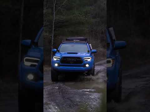 The Manual Tacoma Makes This So Much BETTER