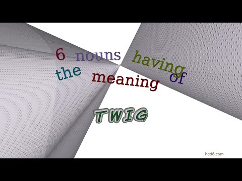 twig - 6 nouns which are synonyms of twig (sentence examples)