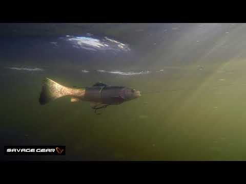 SG Line Thru Trout