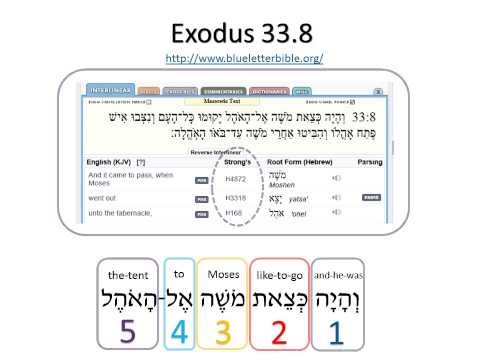 Interlinear Translation - Bible Translations