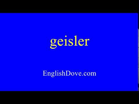 How to pronounce geisler in American English.