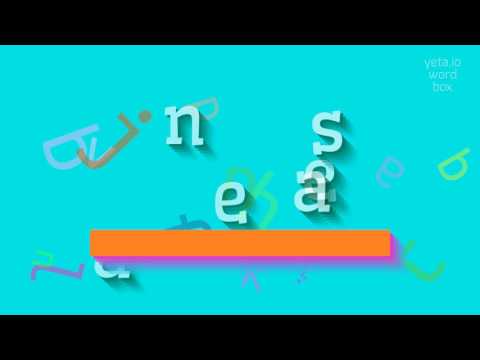 How to say "aeneas"! (High Quality Voices)