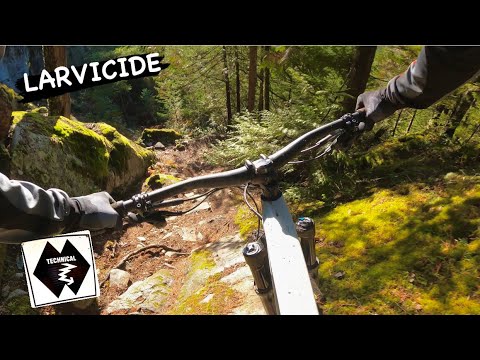 LARVICIDE | Double black trail | Squamish - Alice Lake