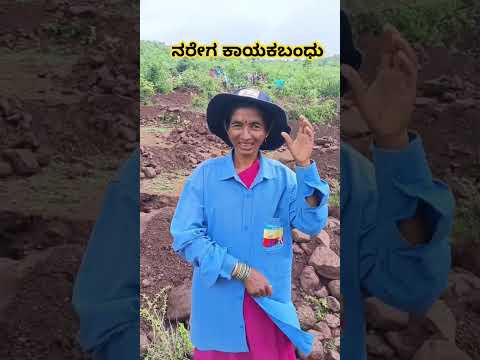 Narega Kayakbandhu #narega #belagavi #village #rdpr #mgnrega #karnataka #labour #women