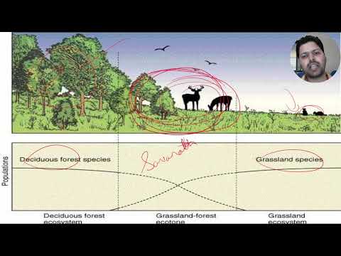 Ecology Lecture 4 Ecotone Edge Effect, Edge Species and Ecological Niche UPSC