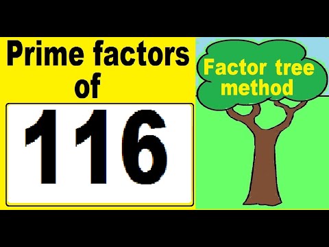 Prime factors of 116. Prime factors decomposition of 116. Factor tree method.