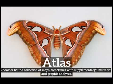 What is Atlas? | How Does Atlas Look? | How to Say Atlas in English?
