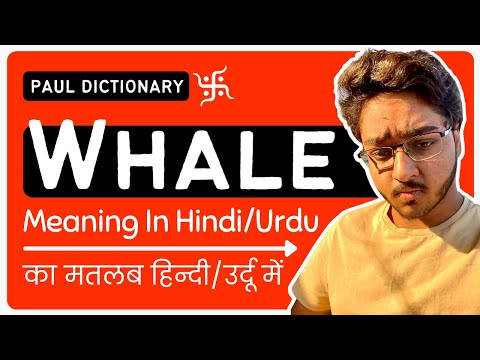 Whale Meaning in Hindi/Urdu | Meaning of Whale | Whale ka matlab? | Whale क्या है?