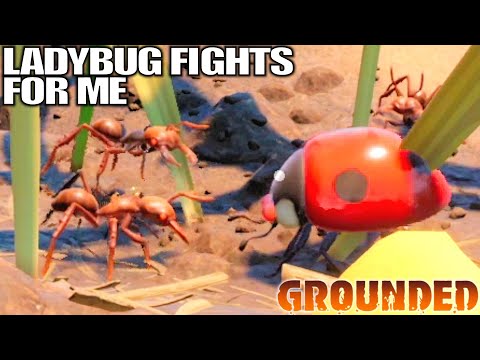 Steam Community :: Video :: Killing Spiders & Stink Bugs The Smart Way ...