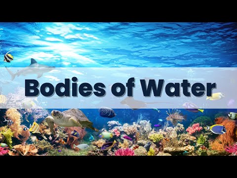Bodies of Water: Exploring the Different Water Forms on Earth