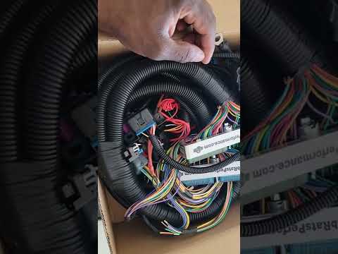 LS Stand Alone Harness. Went with LabRats Performance 86 Monte LS Swap