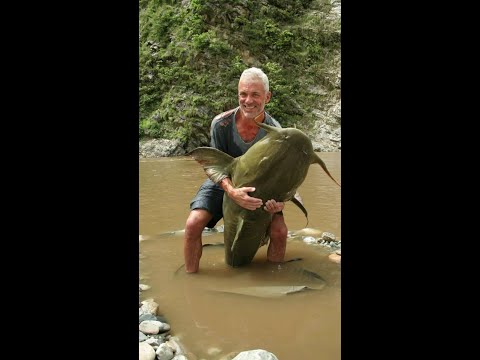 River Monster Ended for a strange reason!