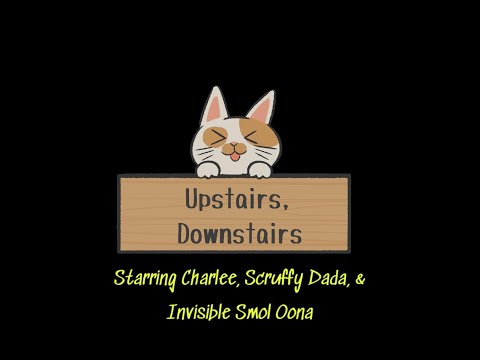 Caturday Matinee: Upstairs, Downstairs – The Oceanside Animals
