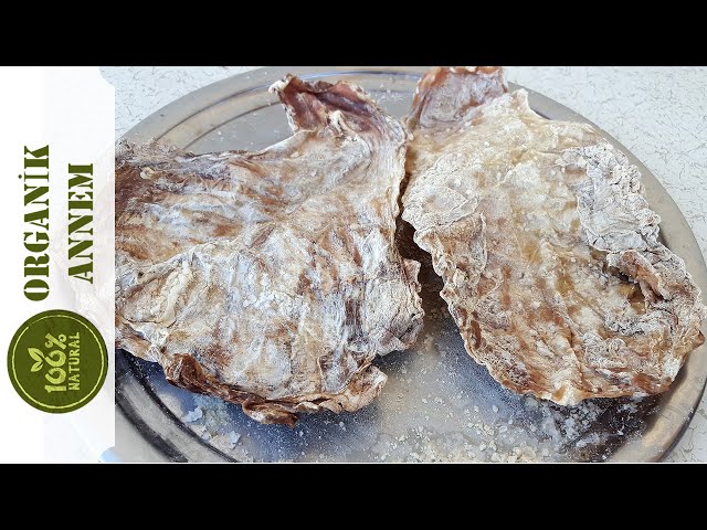 Şirden Mayası Nedir? Nasıl Yapılır, Kullanılır? - Nefis Yemek Tarifleri