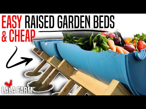 FAST and EASY Plastic Barrel Planter • Budget build for your garden