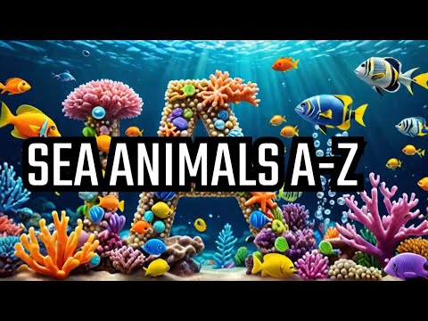 Learn the Alphabet with Ocean Animals! ππ