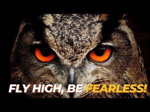 "Wings of Confidence" | Best Motivational Video of fear & Courage | kids.