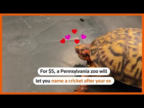 This Valentine's Day you can name a bug after your ex