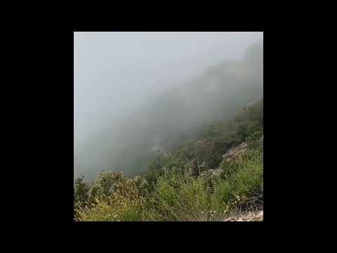Case File 109611: Altadena, California