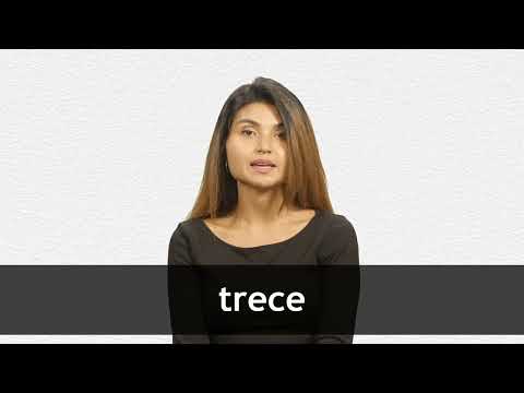English Translation of “TRECE” | Collins Spanish-English Dictionary