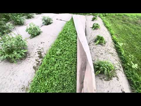 This expensive weed barrier from Menards sucks