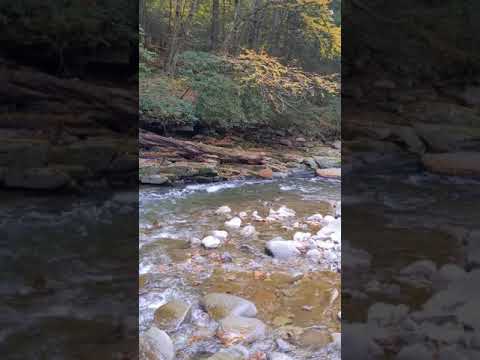 Farmhouse on Two Creeks in Callicoon, NY Airbnb rental